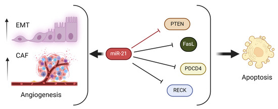 The Multifaceted Role of miR-21 in Pancreatic Cancers