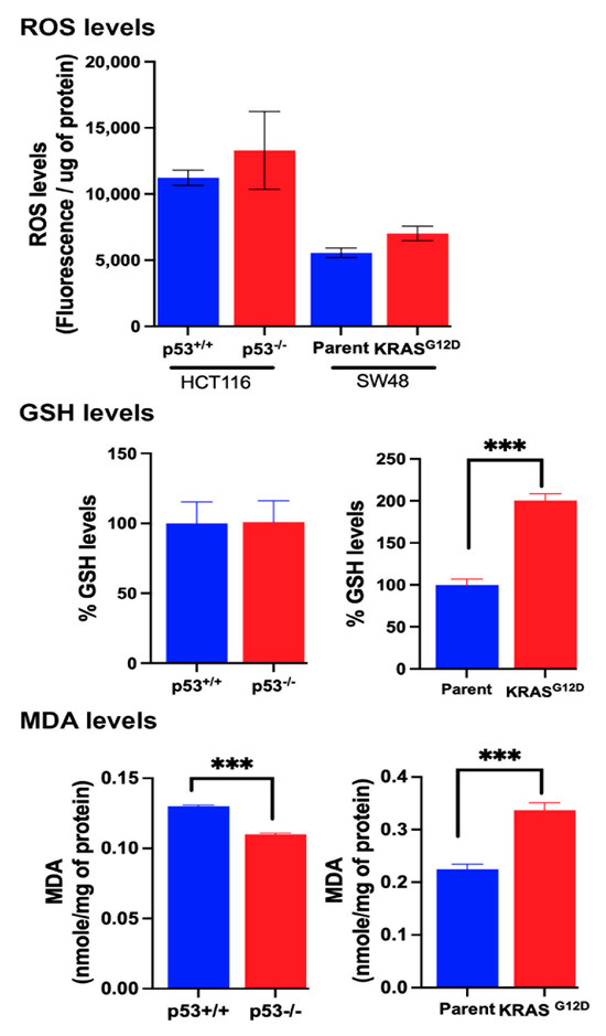Impact of Oncogenic Changes in p53 and KRAS on Macropinocytosis and ...