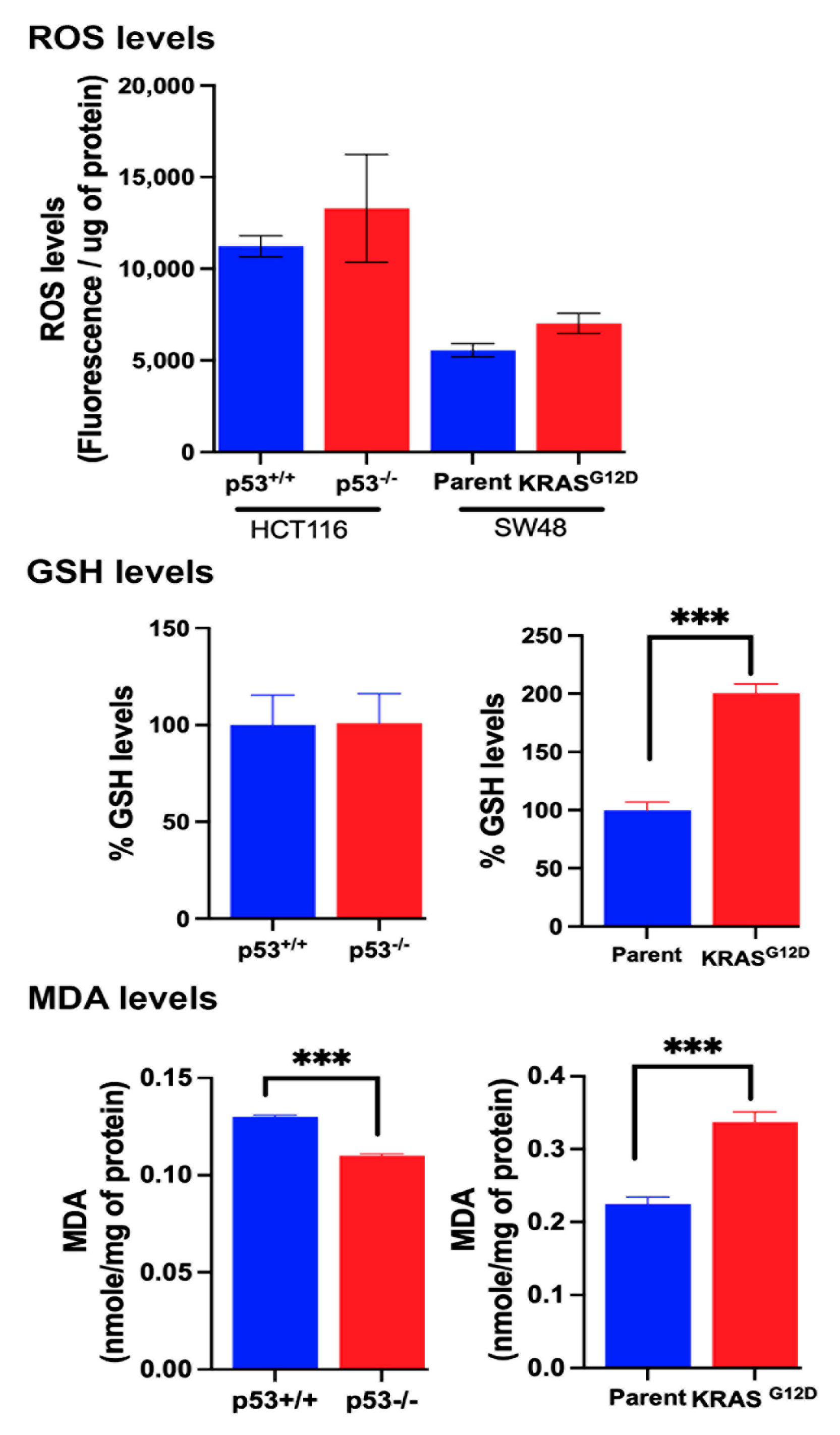 Impact of Oncogenic Changes in p53 and KRAS on Macropinocytosis and Ferroptosis in Colon Cancer ...