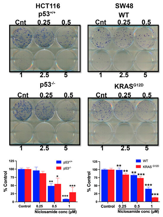 Impact of Oncogenic Changes in p53 and KRAS on Macropinocytosis and ...