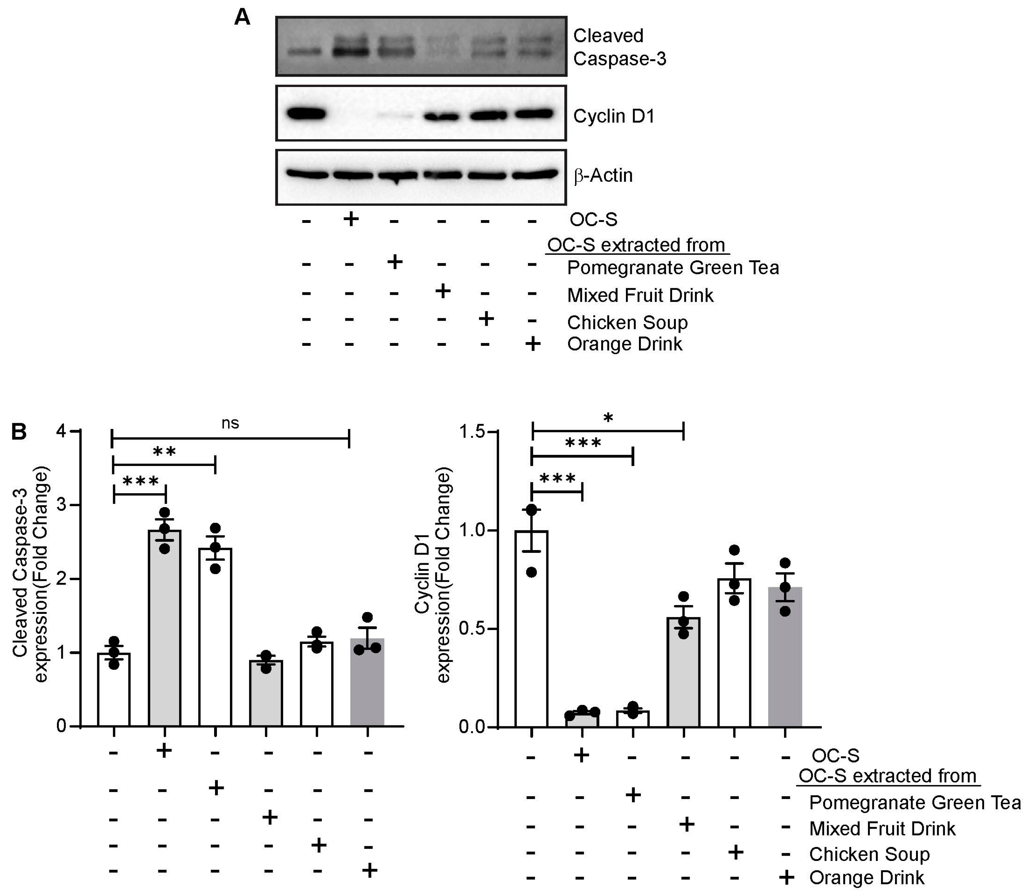 Stable Dietary Ora-Curcumin Formulation Protects from Experimental ...
