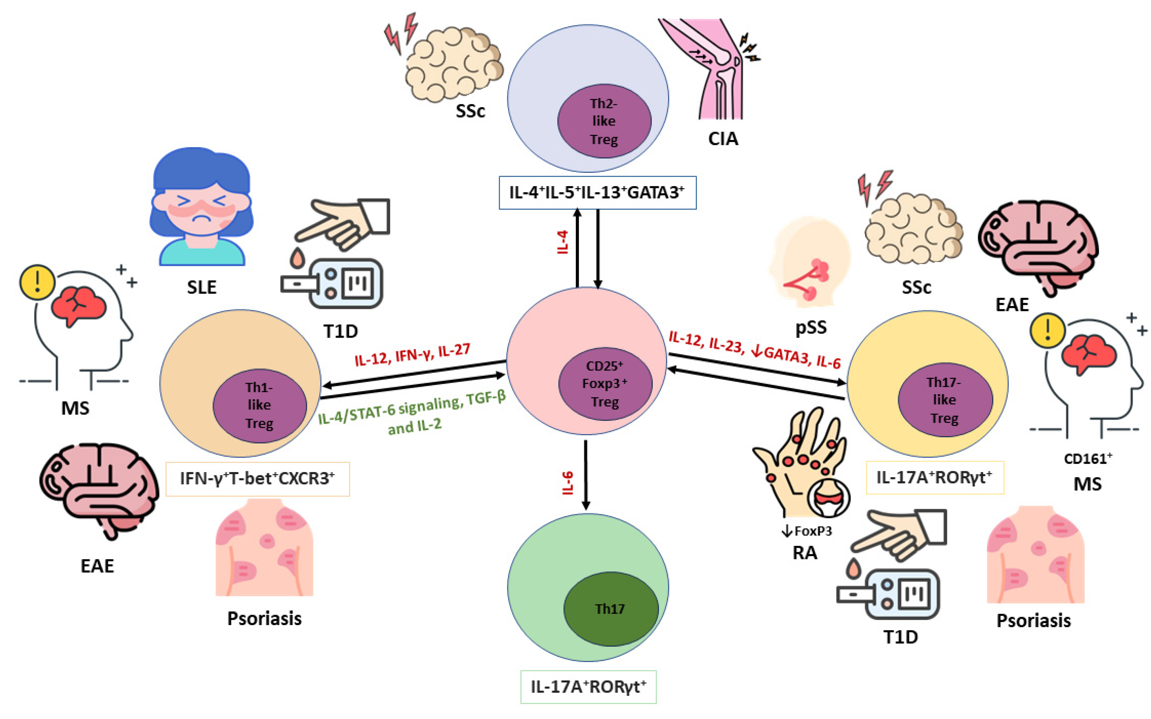 Many Faces of Regulatory T Cells: Heterogeneity or Plasticity?