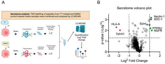 Tigilanol Tiglate-Induced Changes in Secretome Profiles Alter C-Met ...