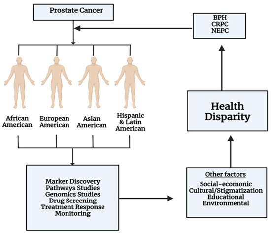 Patient-Derived Conditionally Reprogrammed Cells in Prostate Cancer ...