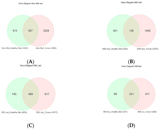 Cells | Free Full-Text | Molecular Profiling and the Interaction of ...