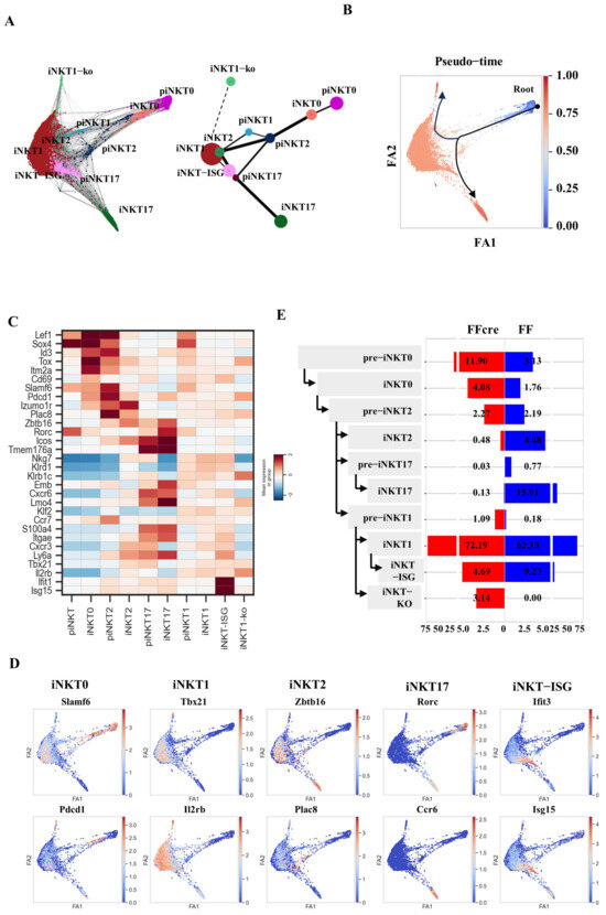 ScRNA-Seq Analyses Define the Role of GATA3 in iNKT Cell Effector ...