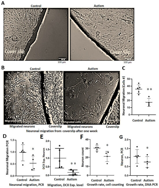 iPSC-Derived Astrocytes and Neurons Replicate Brain Gene Expression ...