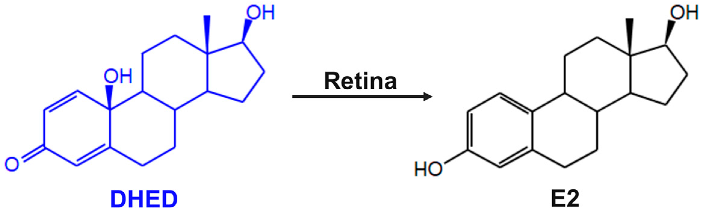 The Prodrug DHED Delivers 17β-Estradiol into the Retina for Protection ...