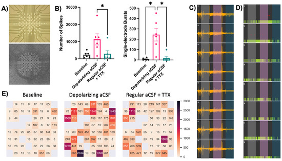 Adult Human Brain Tissue Cultures to Study NeuroHIV