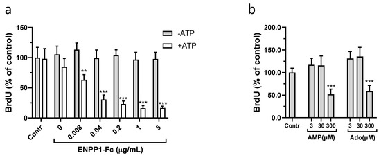 Inhibition of Vascular Smooth Muscle Cell Proliferation by ENPP1: The ...