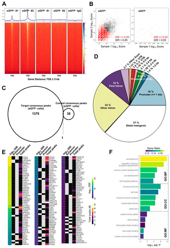 Identification and Characterization of ATOH7-Regulated Target Genes and ...