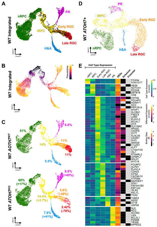 Identification and Characterization of ATOH7-Regulated Target Genes and ...