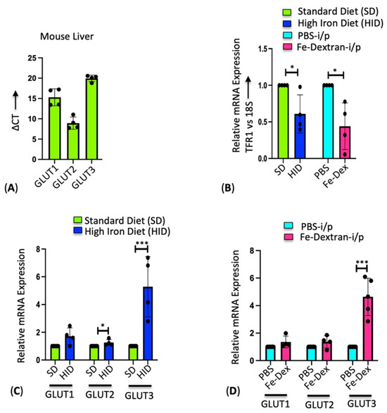 Iron Regulates Cellular Proliferation by Enhancing the Expression of ...
