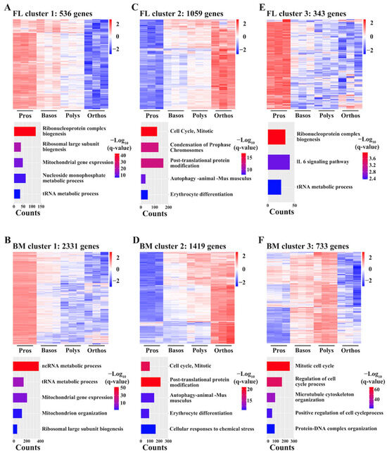 Global Transcriptomic and Characteristics Comparisons between Mouse ...