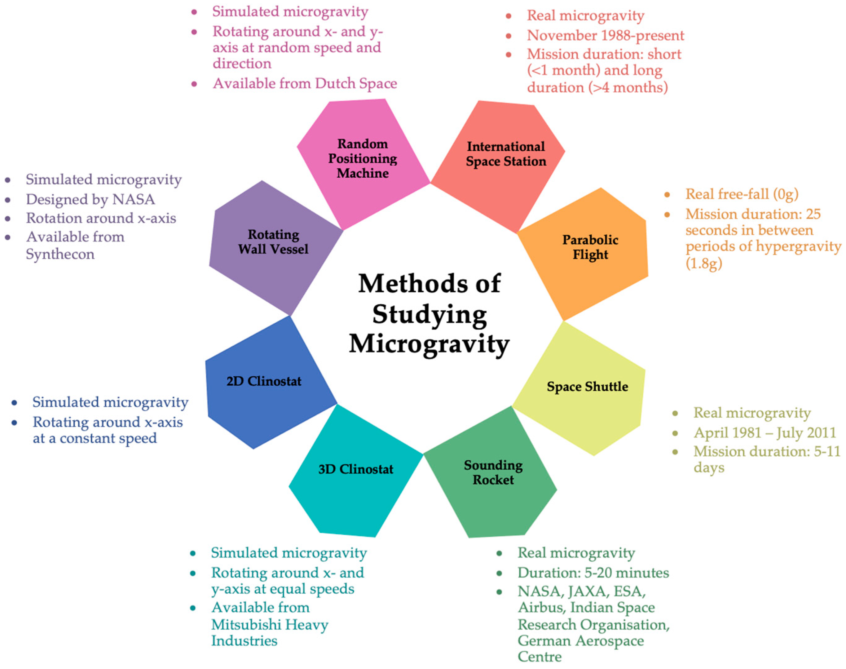 The Lungs in Space: A Review of Current Knowledge and Methodologies