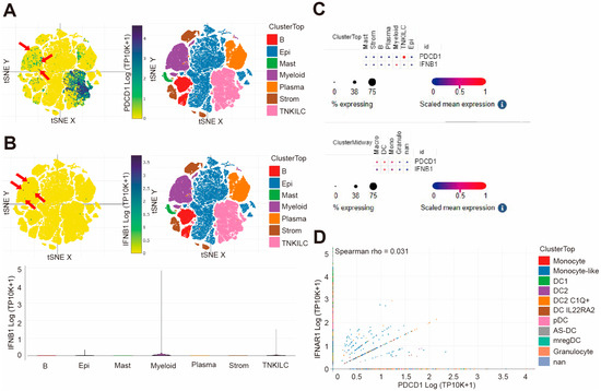 Type I Interferon Activates PD-1 Expression through Activation of the ...
