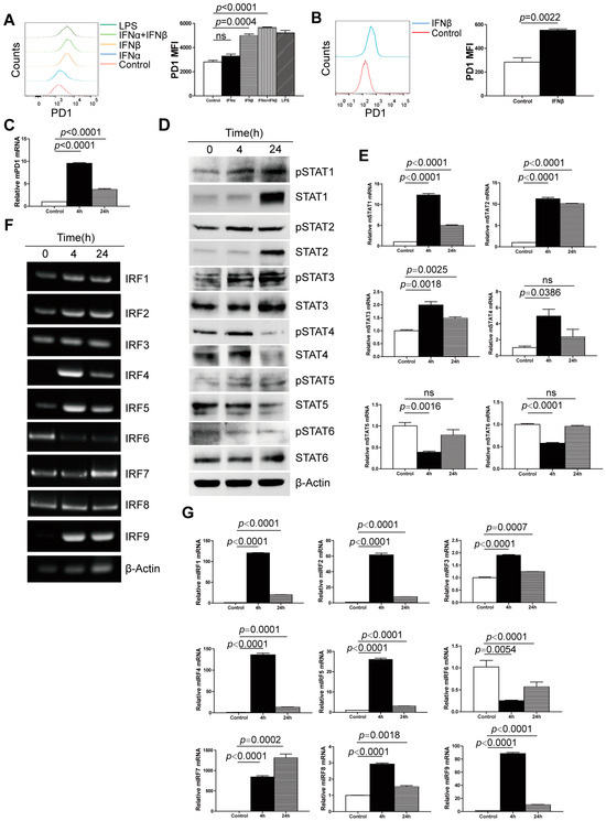Type I Interferon Activates PD-1 Expression through Activation of the ...