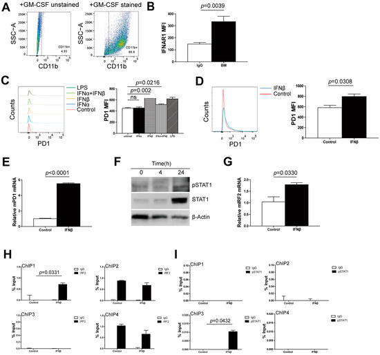 Type I Interferon Activates PD-1 Expression through Activation of the ...