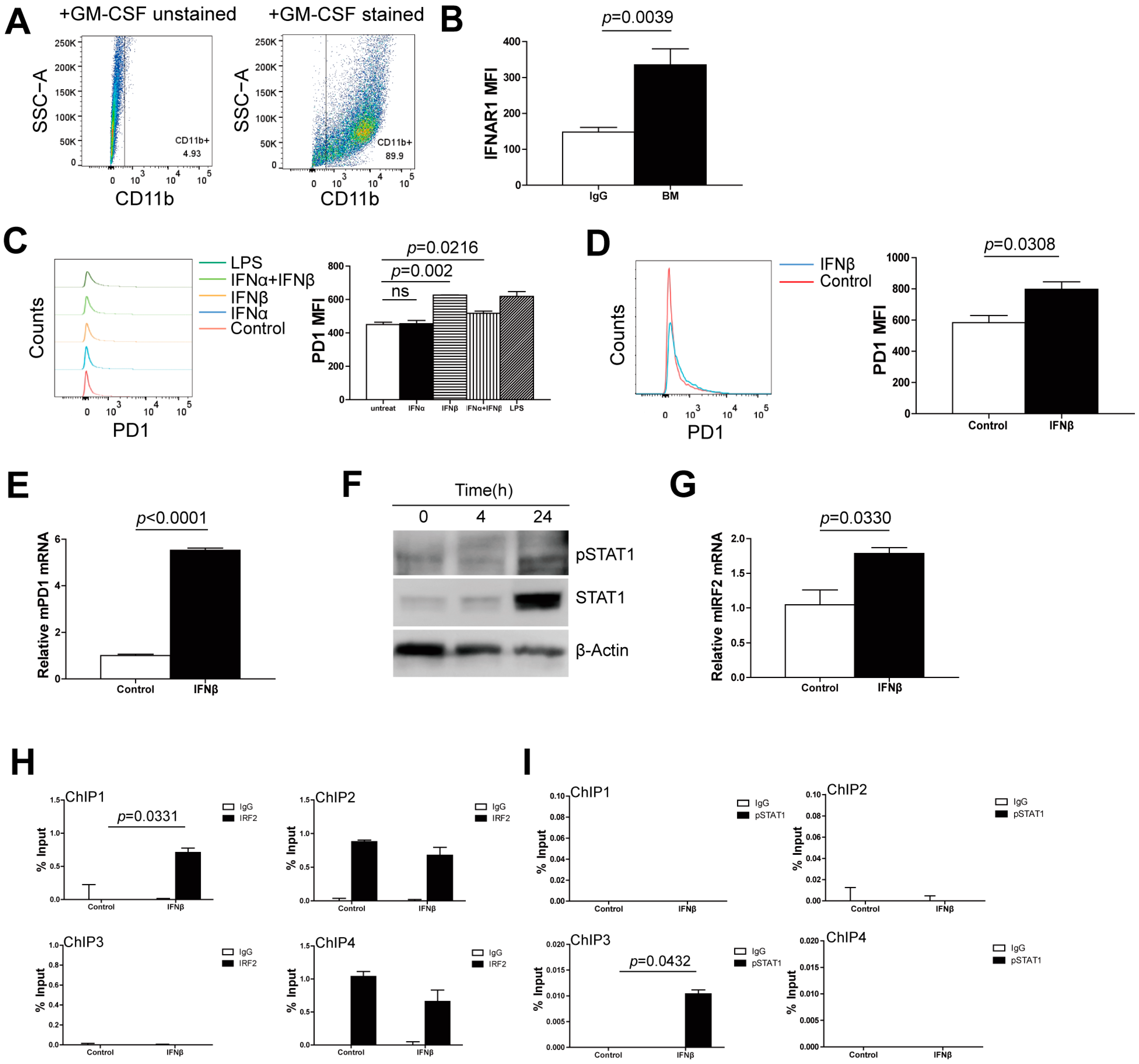 Type I Interferon Activates PD-1 Expression through Activation of the ...