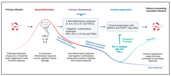 Evolving Paradigms in Sepsis Management: A Narrative Review
