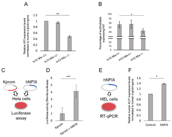 Post-GWAS Validation of Target Genes Associated with HbF and HbA2 Levels