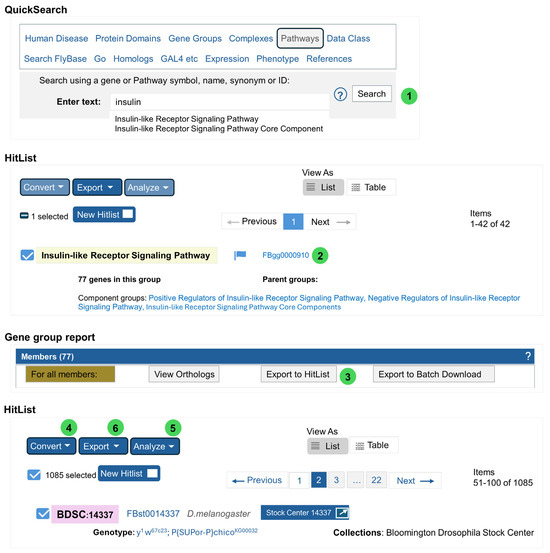 An Introductory Guide to Using Bloomington Drosophila Stock Center and ...