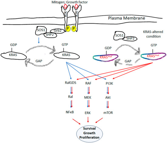 KRAS Mutation Subtypes and Their Association with Other Driver ...