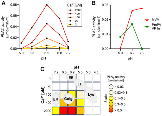 Globoside Is an Essential Intracellular Factor Required for Parvovirus ...