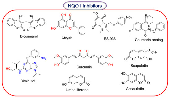 Cells | Free Full-Text | Human NQO1 as a Selective Target for Anticancer Therapeutics and Tumor ...