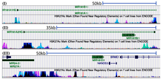 The Role of the MiR-181 Family in Hepatocellular Carcinoma