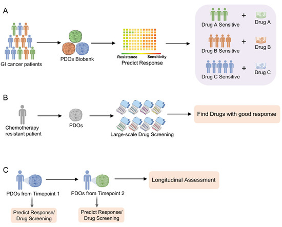 Gastrointestinal Cancer Patient Derived Organoids at the Frontier of ...