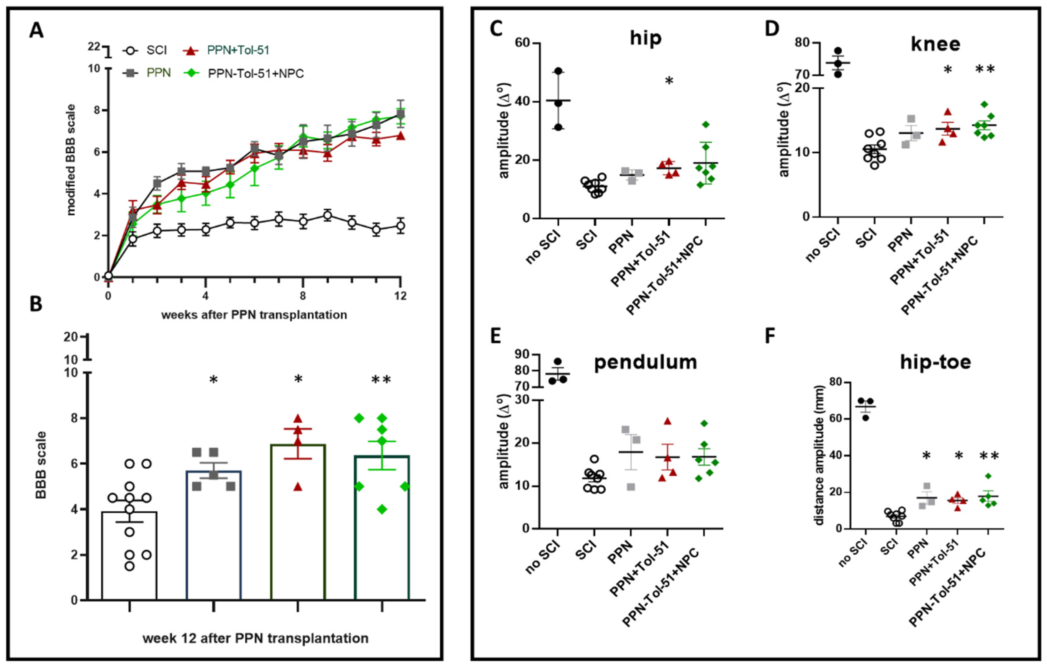 Transplantation of Predegenerated Peripheral Nerves after Complete ...