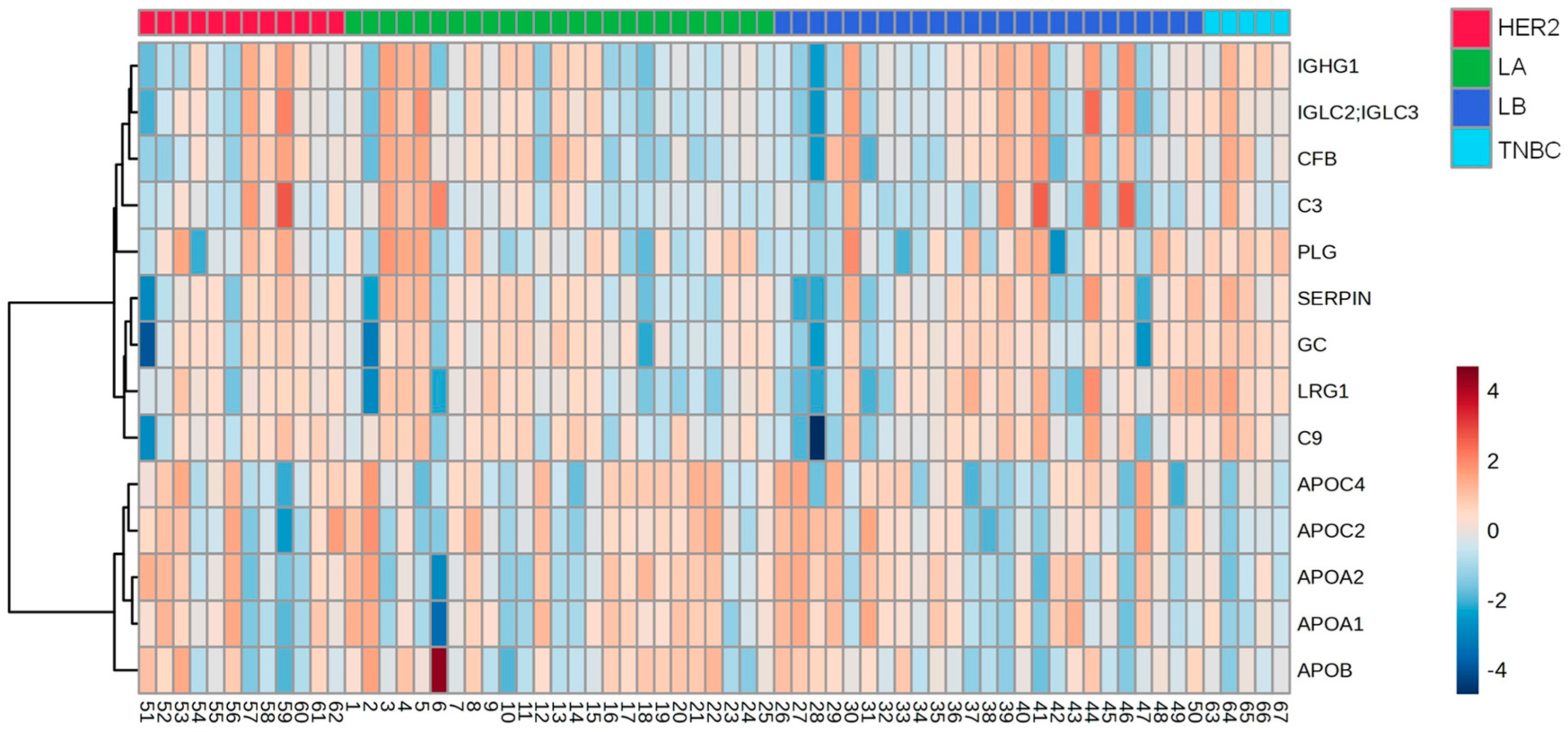 Proteomic Profiling of HDL in Newly Diagnosed Breast Cancer Based on Tumor Molecular ...