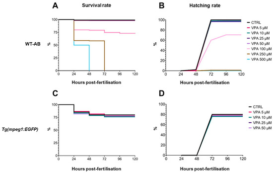 Cells | Free Full-Text | Delving into the Complexity of Valproate ...