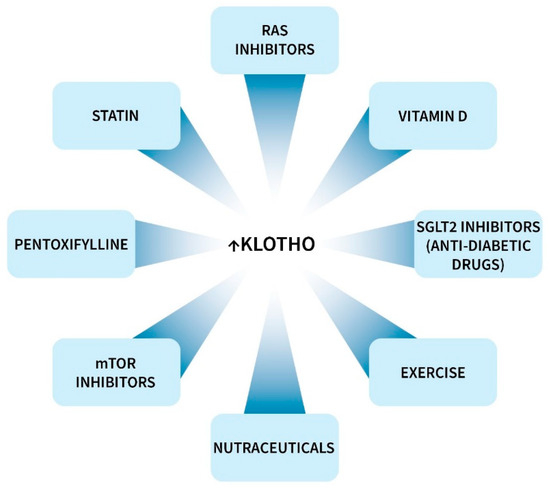 Anti-Inflammatory Role of the Klotho Protein and Relevance to Aging