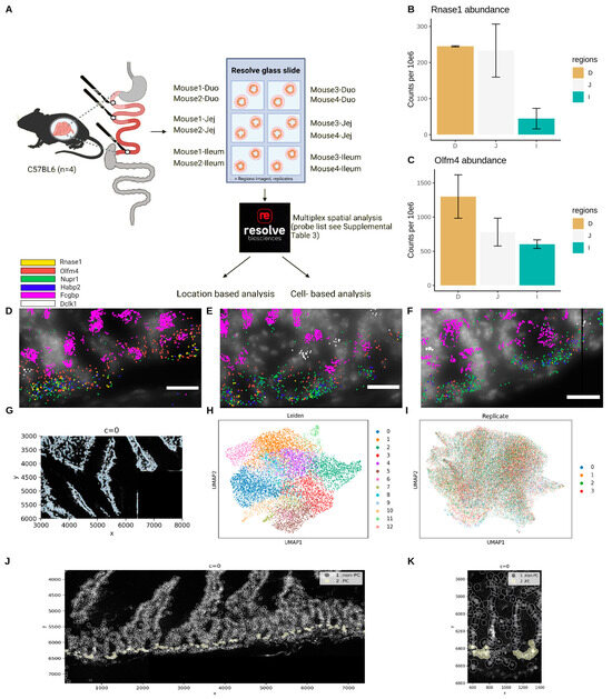 Identification and Characterization of Multiple Paneth Cell Types in ...