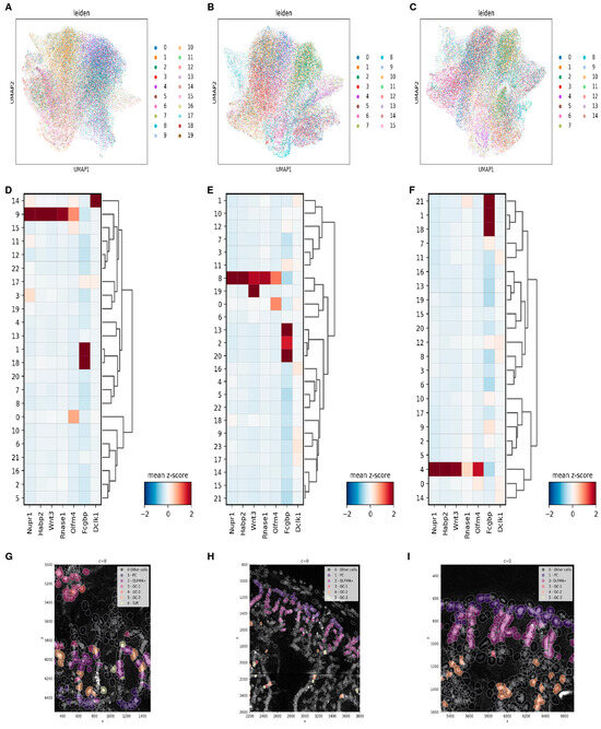 Identification and Characterization of Multiple Paneth Cell Types in ...