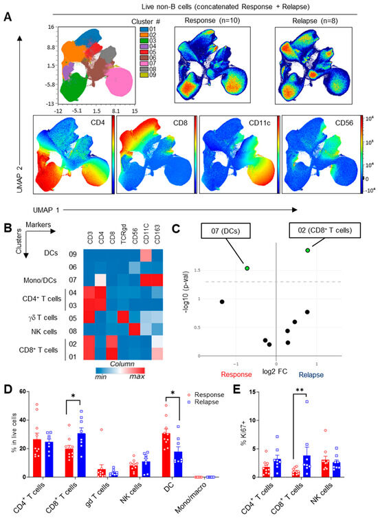 Immunophenotyping of Peripheral Blood Cells in Patients with Chronic ...