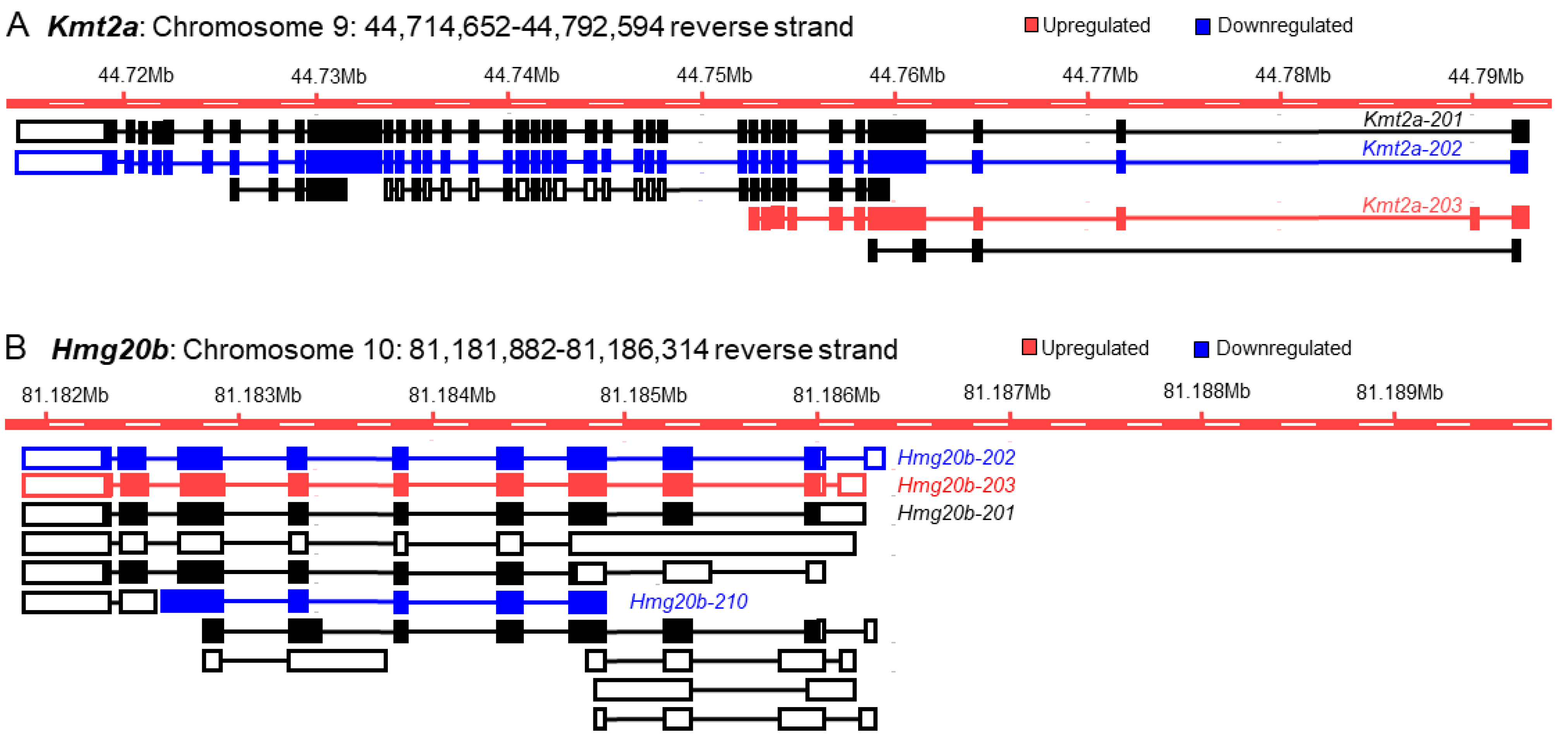Importance of Transcript Variants in Transcriptome Analyses
