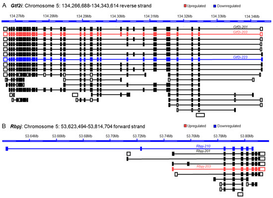 Importance of Transcript Variants in Transcriptome Analyses