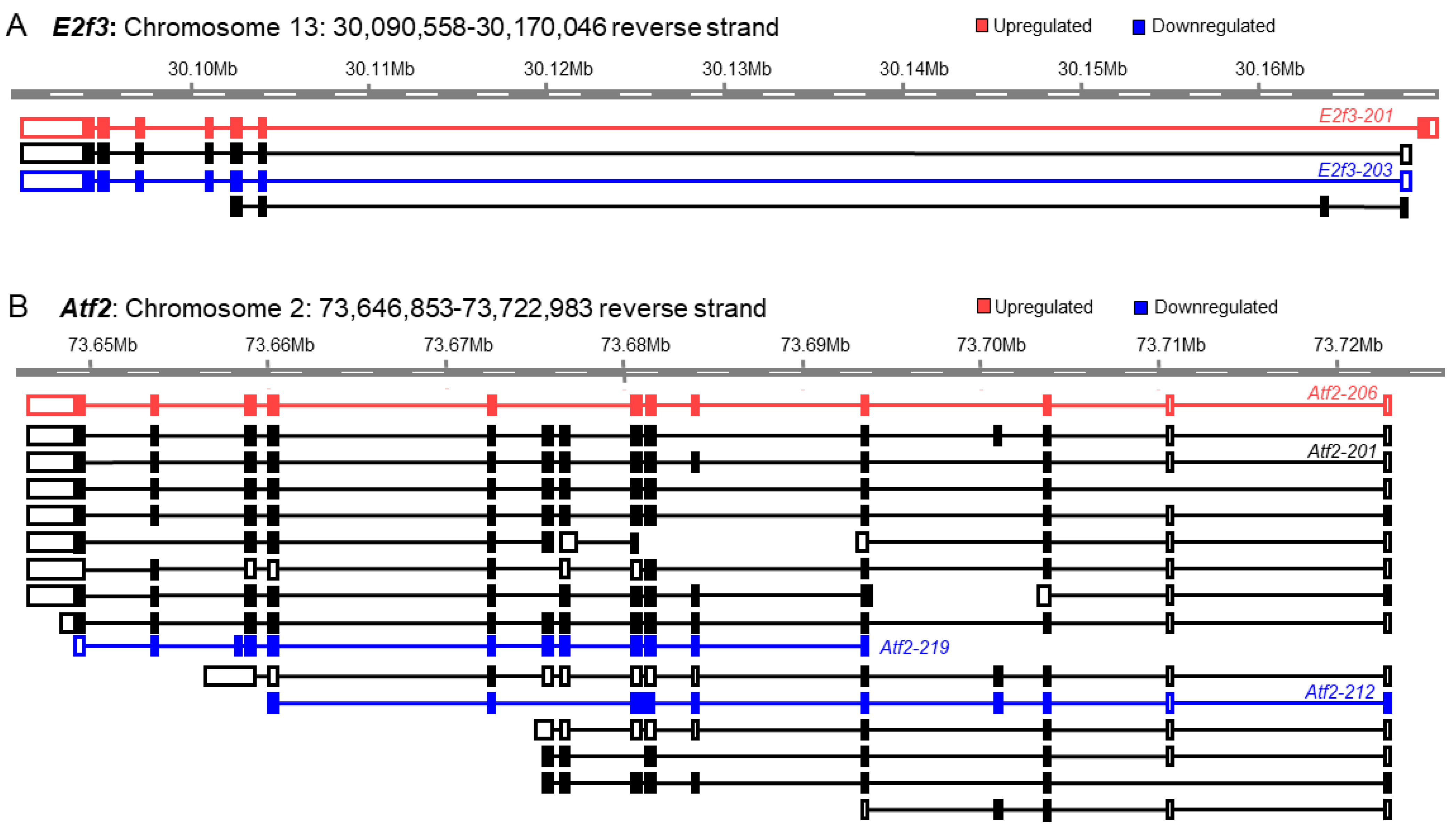 Importance of Transcript Variants in Transcriptome Analyses