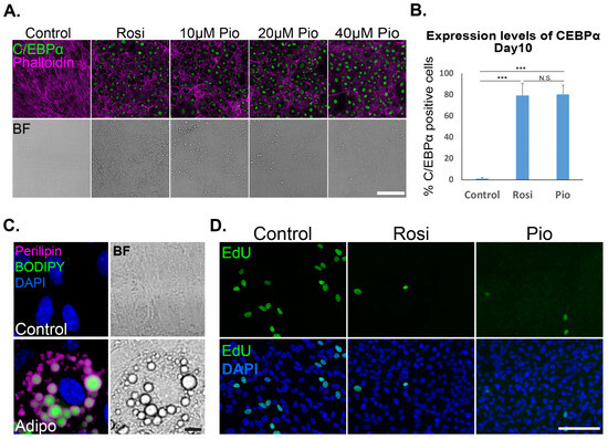 Class Effect Unveiled: PPARγ Agonists and MEK Inhibitors in Cancer Cell ...