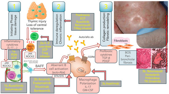 Current Approaches for the Prevention and Treatment of Acute and ...