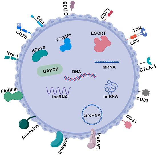Treg Cell Therapeutic Strategies for Breast Cancer: Holistic to Local ...