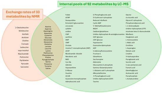 3D Modeling: Insights into the Metabolic Reprogramming of ...