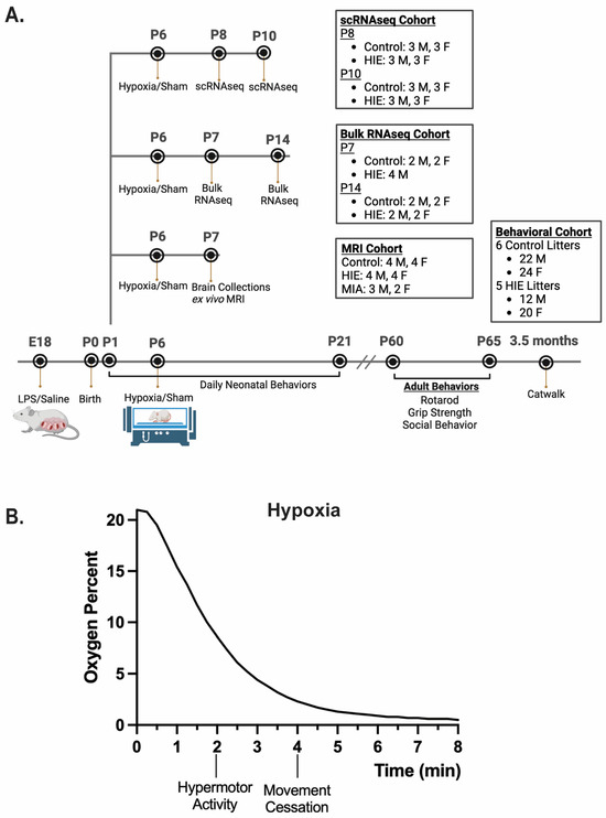 A Novel Non-Invasive Murine Model of Neonatal Hypoxic-Ischemic ...