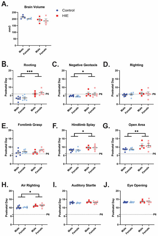 A Novel Non-Invasive Murine Model of Neonatal Hypoxic-Ischemic ...