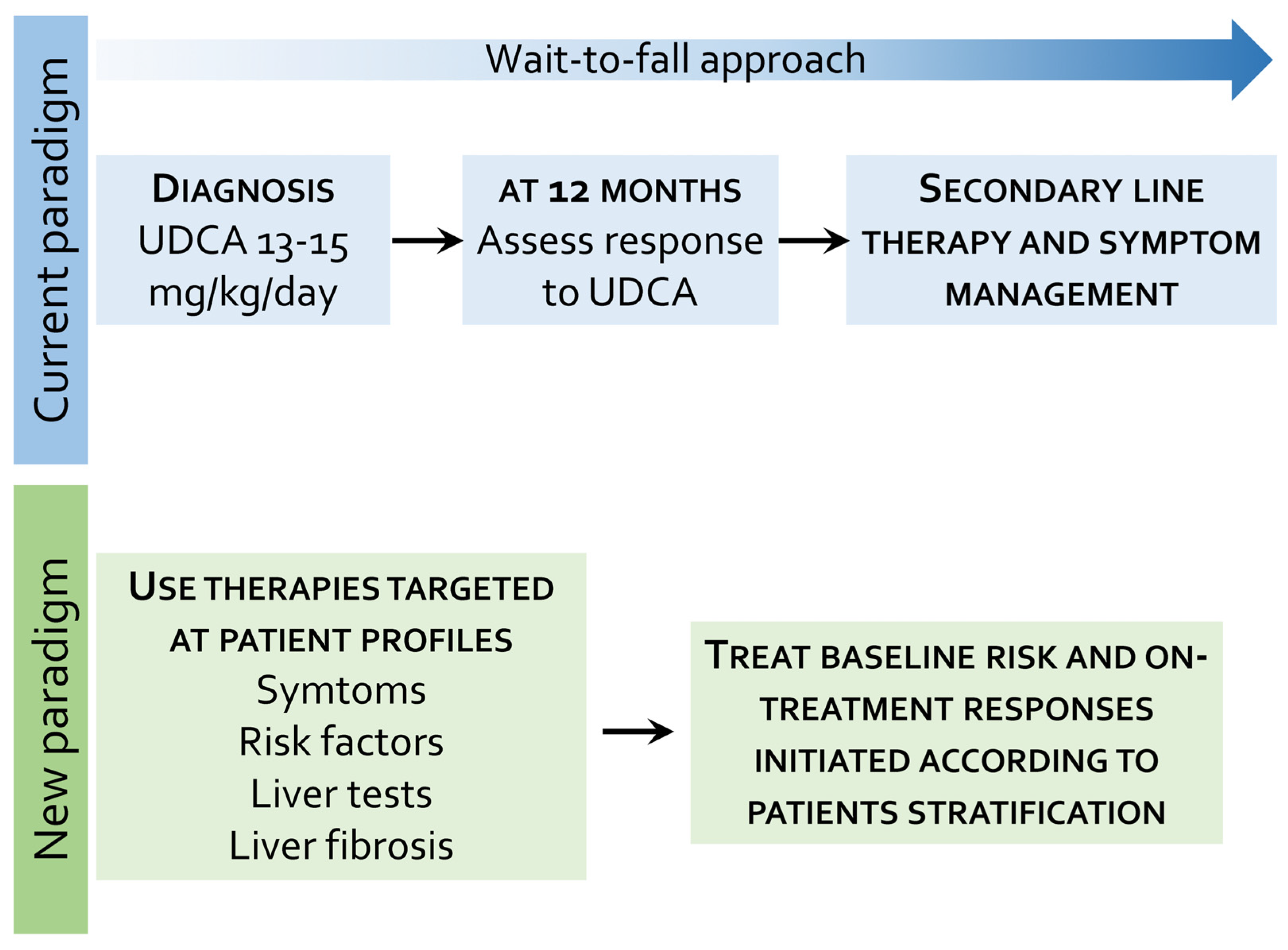 Current Landscape and Evolving Therapies for Primary Biliary Cholangitis