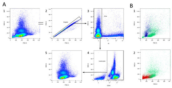 A Flow Cytometry-Based Examination of the Mouse White Blood Cell ...
