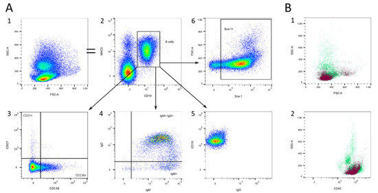 A Flow Cytometry-Based Examination of the Mouse White Blood Cell ...